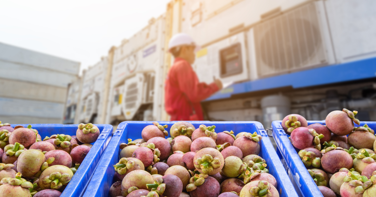 How third-party logistics providers can help optimize your cold chain ...