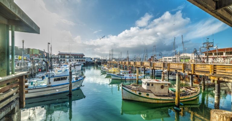 Wharfage | DHL Logistics of Things