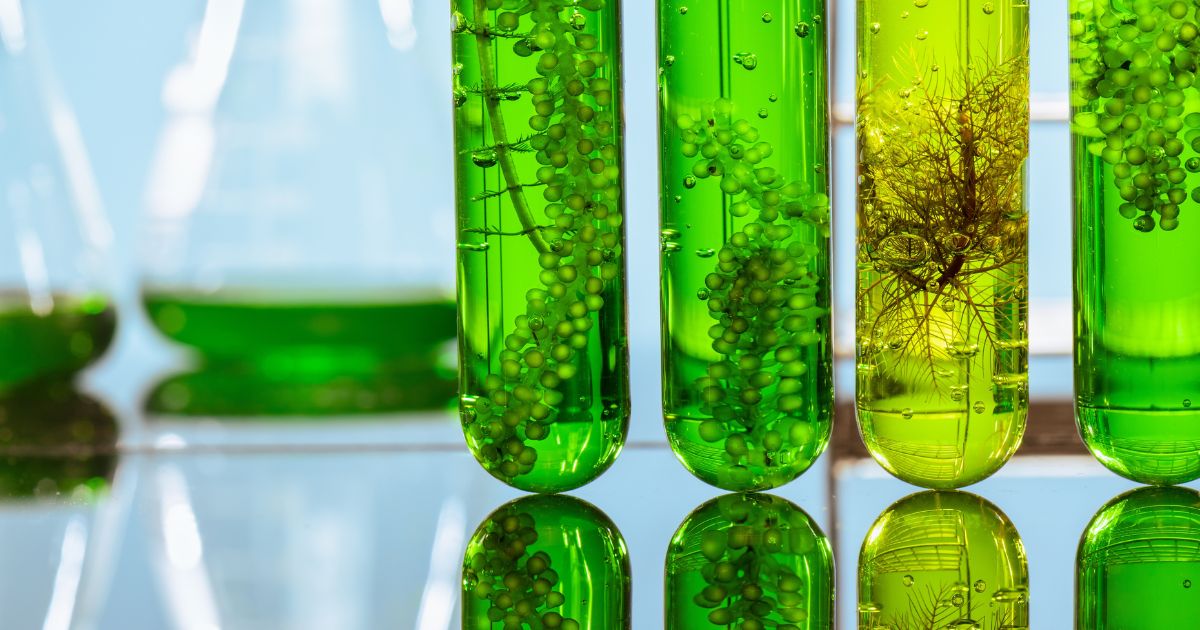 Ditch the diesel to make way for methanol | DHL Logistics of Things